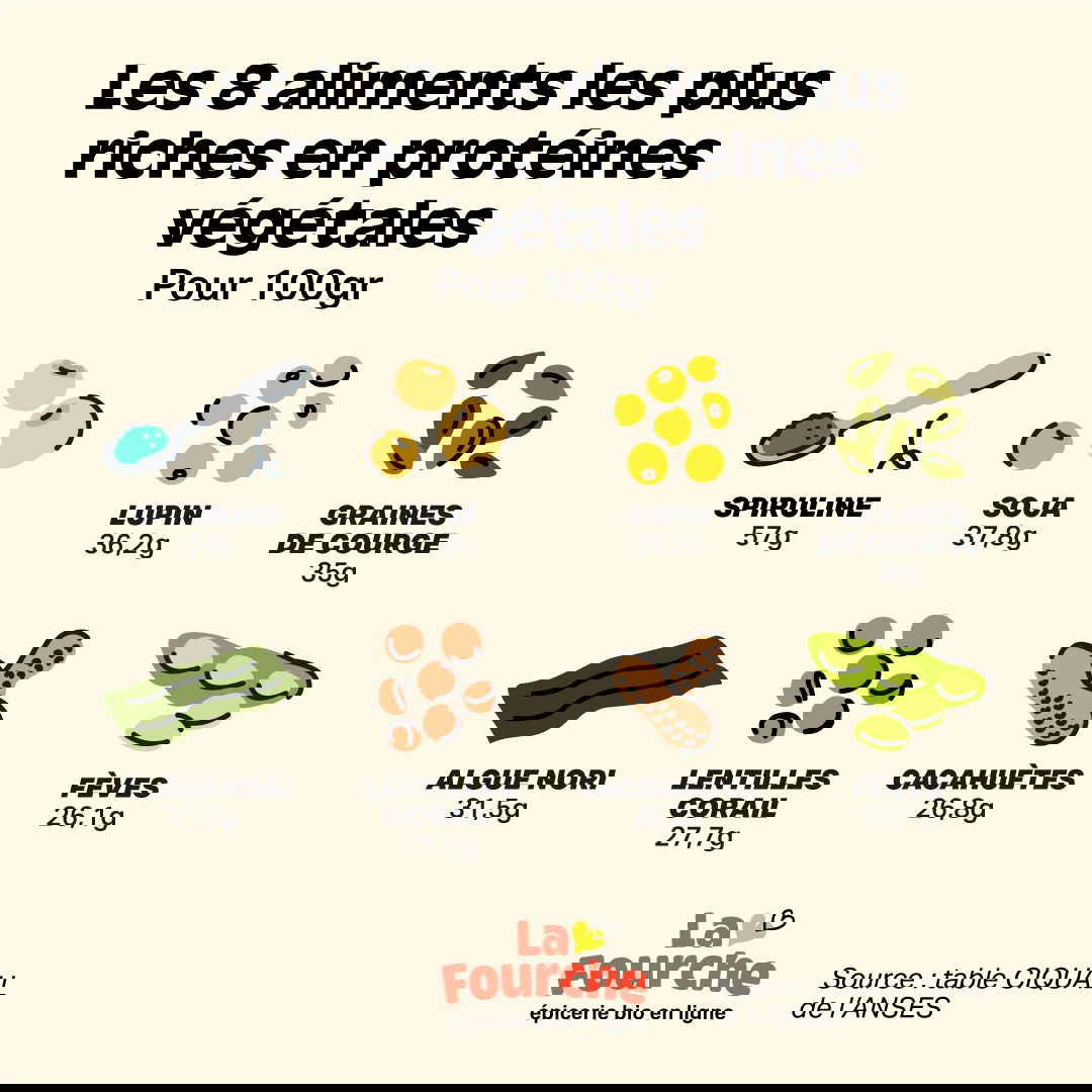 Quels sont les aliments les plus riches en protéines végétales