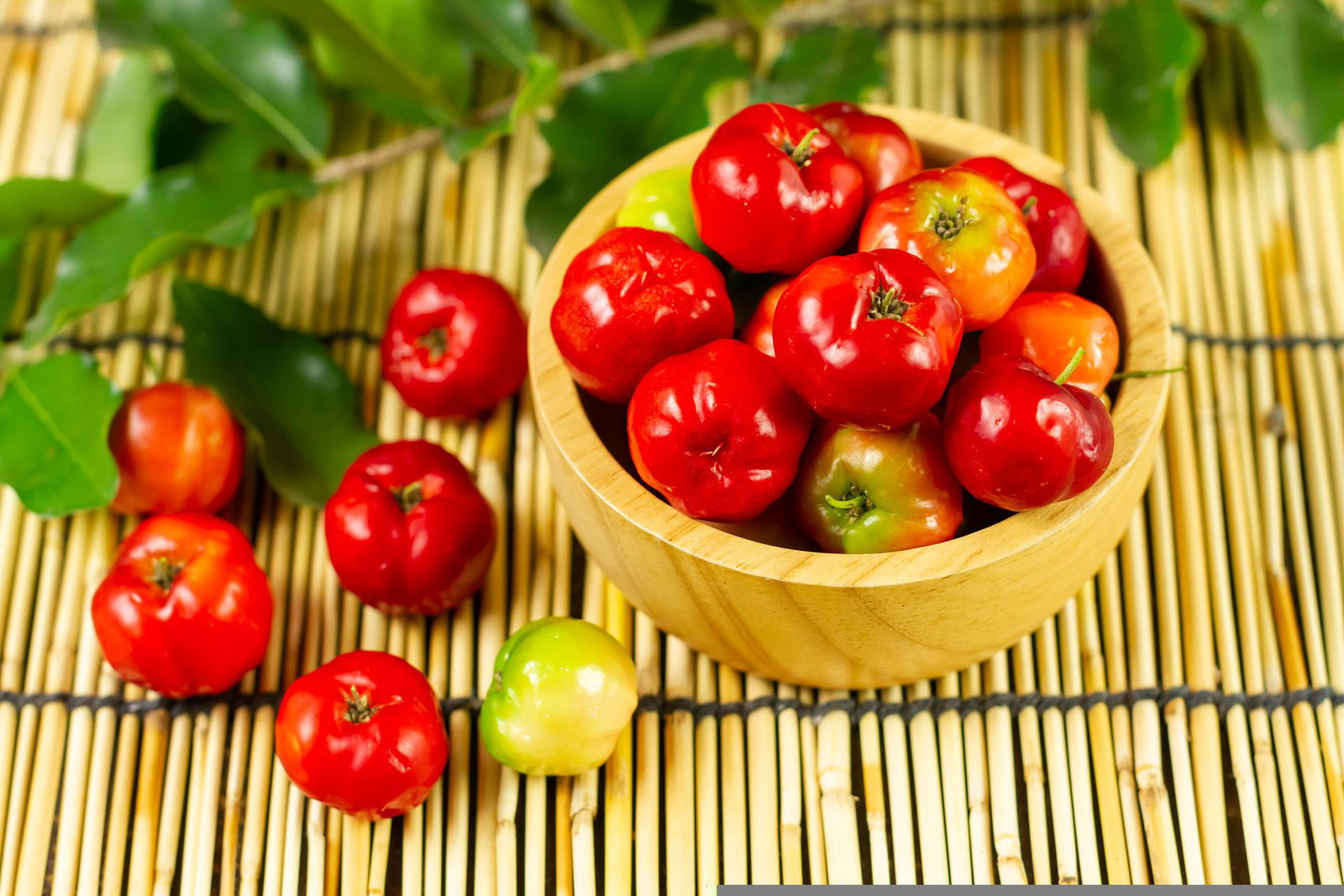 L’acérola : bienfaits d’un fruit ultra concentré en vitamine C