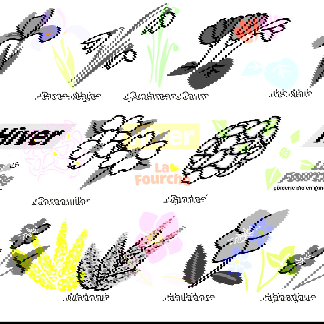 Calendrier des fleurs de saison